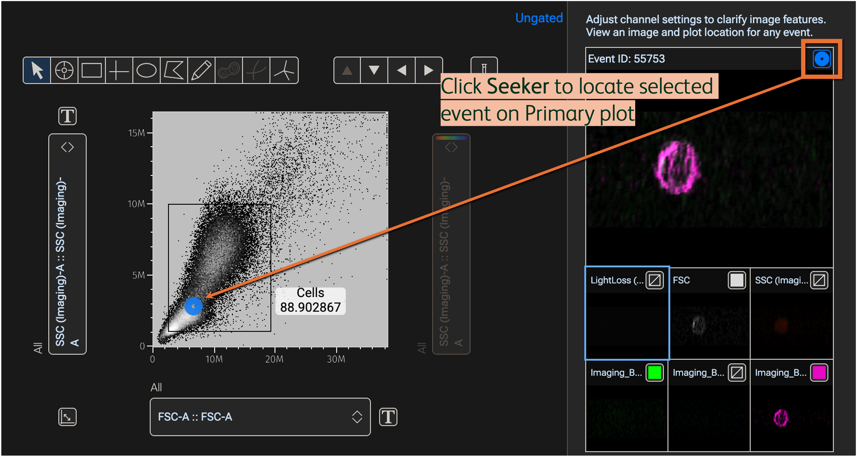 Image Wall | FlowJo, LLC